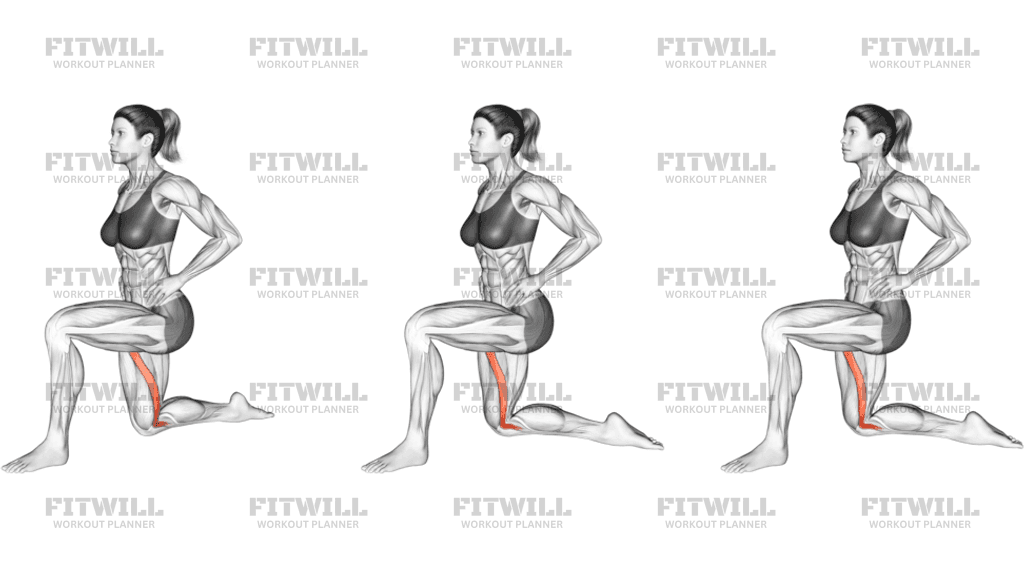 How to do Kneeling Sartorius Stretch: Techniques, Benefits, Tips ...