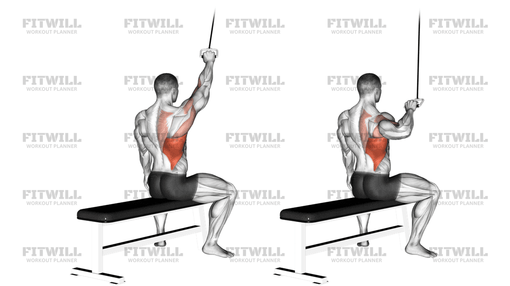 How to do Dumbbell Standing Scapular External Rotation: Techniques ...