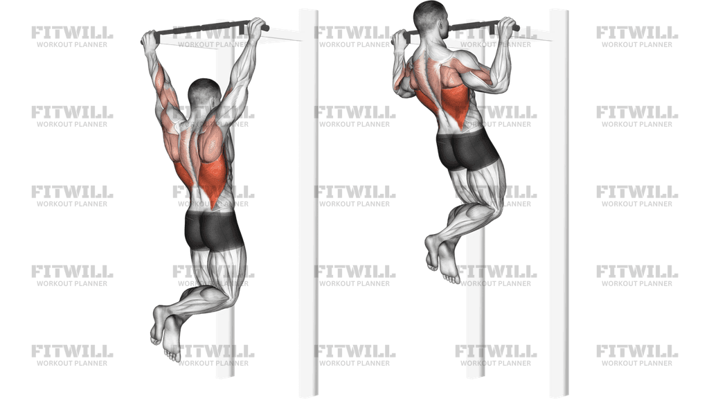How to do Pull-up: Techniques, Benefits, Tips & Tricks | Fitwill