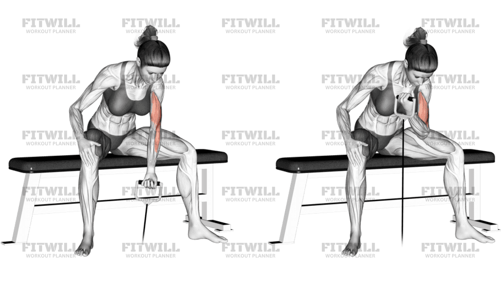 How to do Cable Seated One Arm Concentration Curl: Techniques, Benefits, Tips & Tricks | Fitwill
