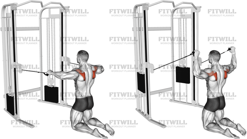 How to do Cable Kneeling Shoulder External Rotation: Techniques ...