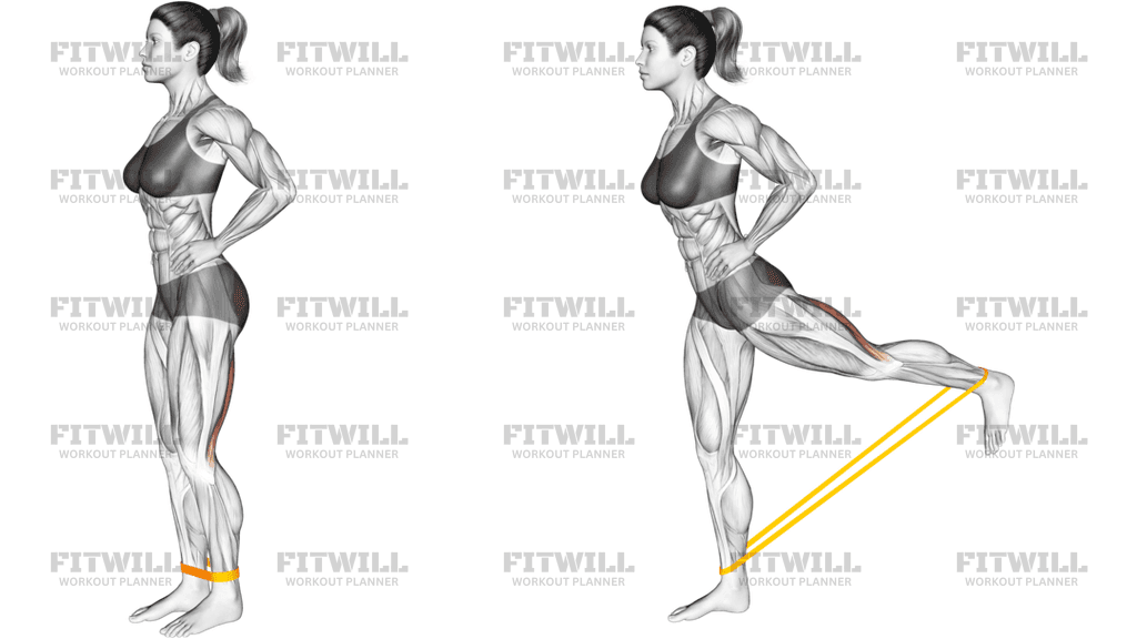 How to do Resistance Band Standing Balance Glute Kickback: Techniques ...