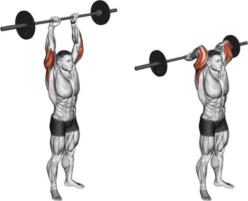 How to do Barbell Standing Overhead Triceps Extension: Techniques ...