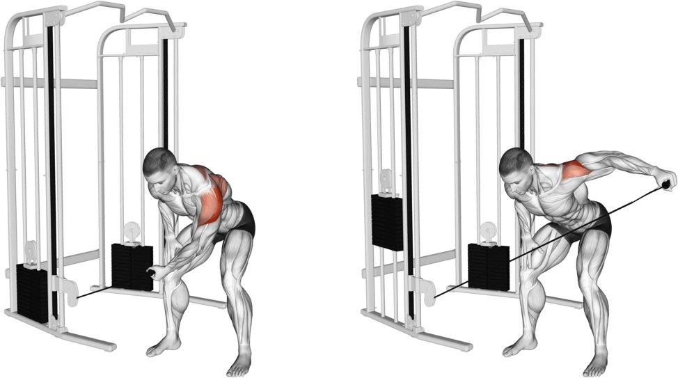 How to do Cable Bent-Over One Arm Lateral Raise: Techniques, Benefits ...