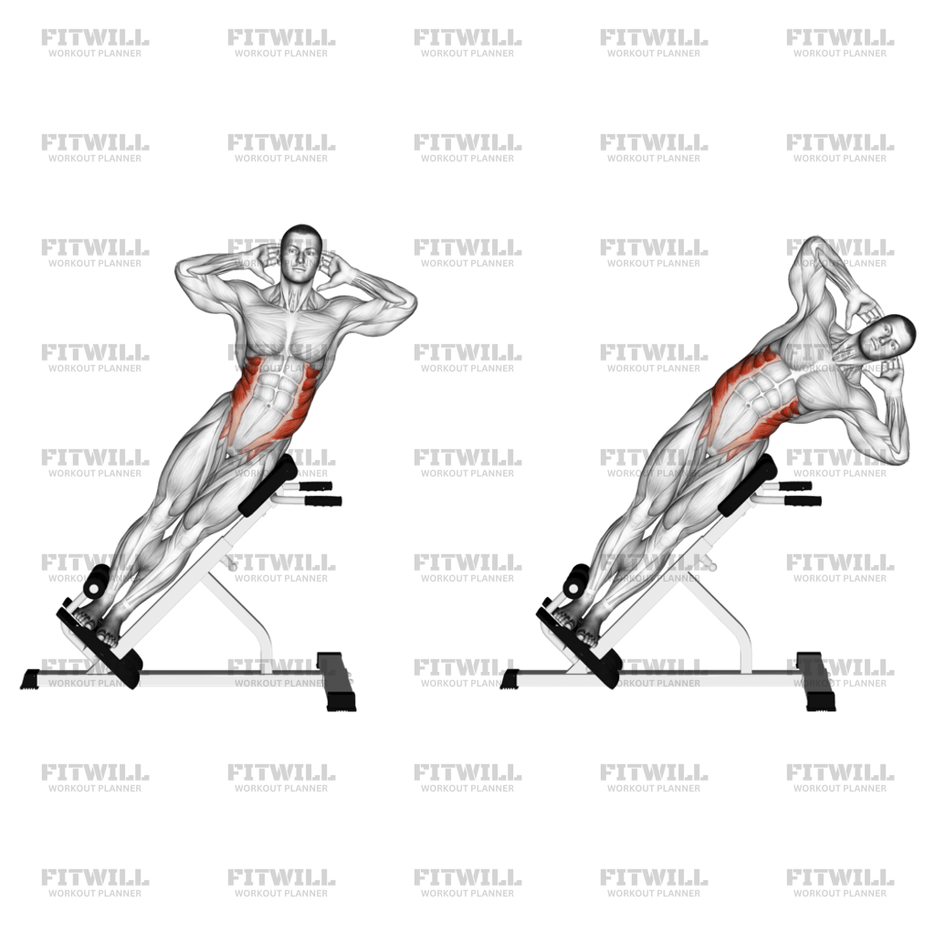 Roman Chair 45 Degree Side Bend: Exercise Guide, Video, Techniques ...