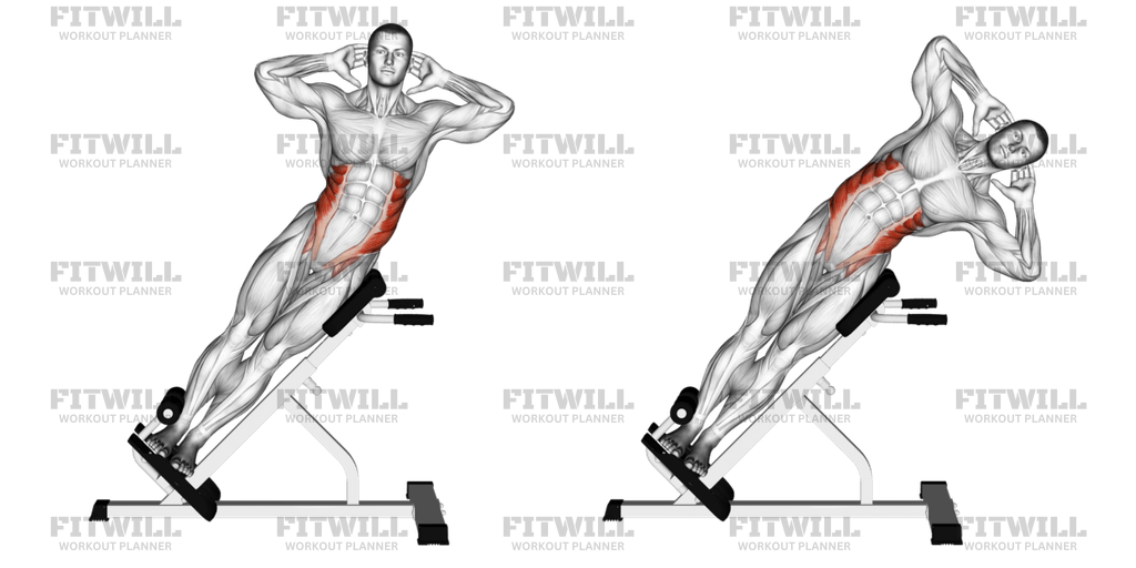 Roman Chair 45 Degree Side Bend: Exercise Guide, Video, Techniques ...