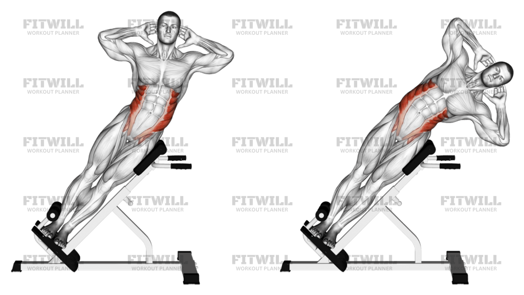 Roman Chair 45 Degree Side Bend: Exercise Guide, Video, Techniques ...