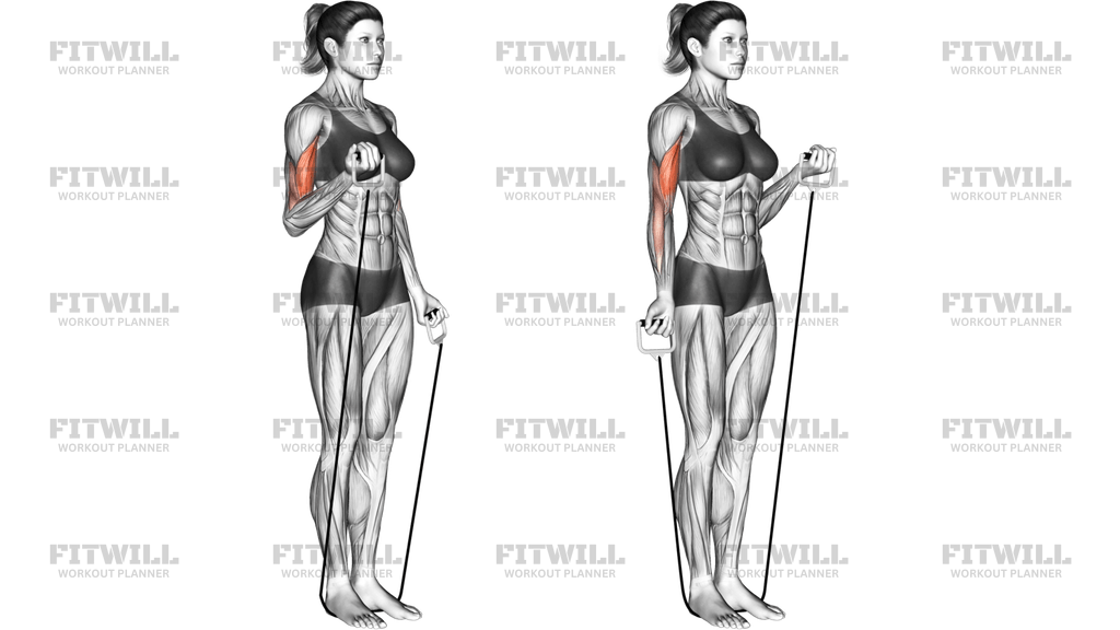 How to do Cable High Pulley Overhead Tricep Extension: Techniques ... How to do Cable High Pulley Overhead Tricep Extension: Techniques ...