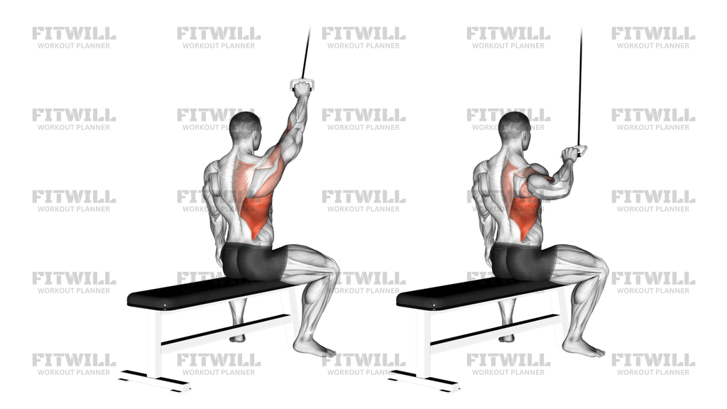 Alternate Lateral Pulldown: Exercise Guide, Techniques, Benefits, How ...
