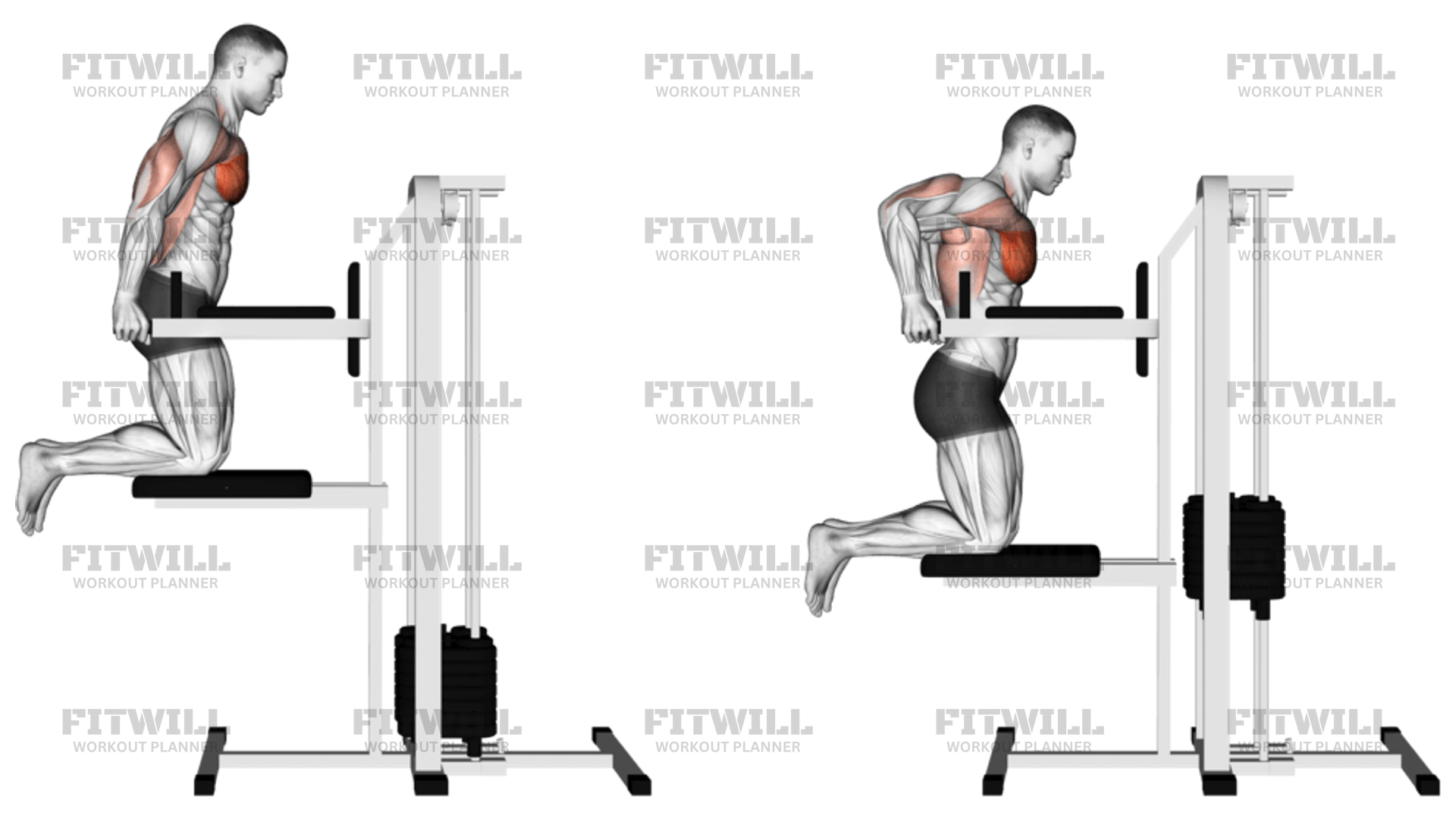 Assisted Chest Dip (kneeling): Exercise Guide, Video, Techniques ...