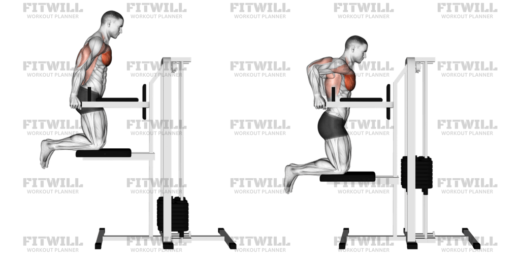 Assisted Chest Dip (kneeling): Exercise Guide, Video, Techniques ...