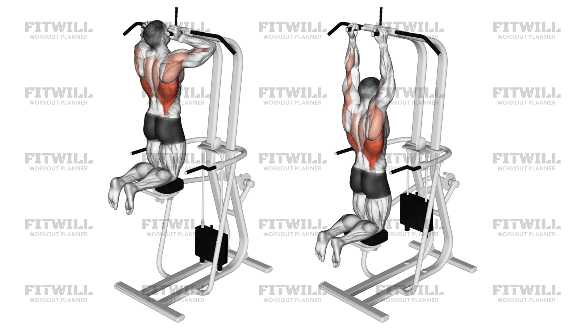 Dominadas Asistidas Con Agarre Paralelo Cerrado: Guía de Ejercicios, Video, Técnicas, Beneficios ...