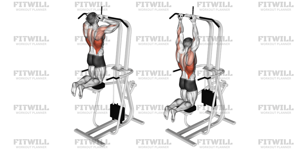 Assisted Parallel Close Grip Pull-up: Exercise Video | Fitwill