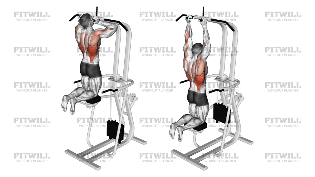 Assisted Parallel Close Grip Pull-up: Exercise Video | Fitwill