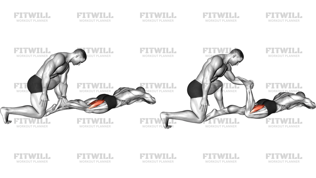 Assisted Prone Hamstring Exercise Guide Techniques Benefits How To 9335