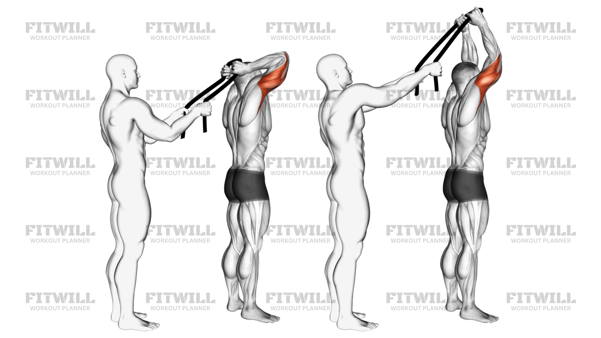 Assisted Standing Triceps Extension (with Towel): Exercise Guide ...