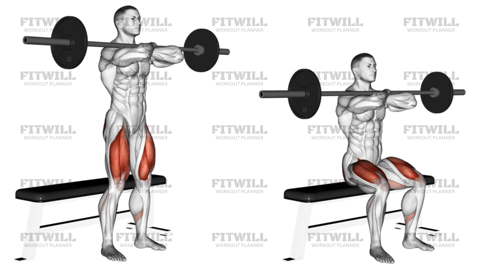 Sentadilla Frontal Con Barra Y Banco: Guía de Ejercicios, Técnicas ...
