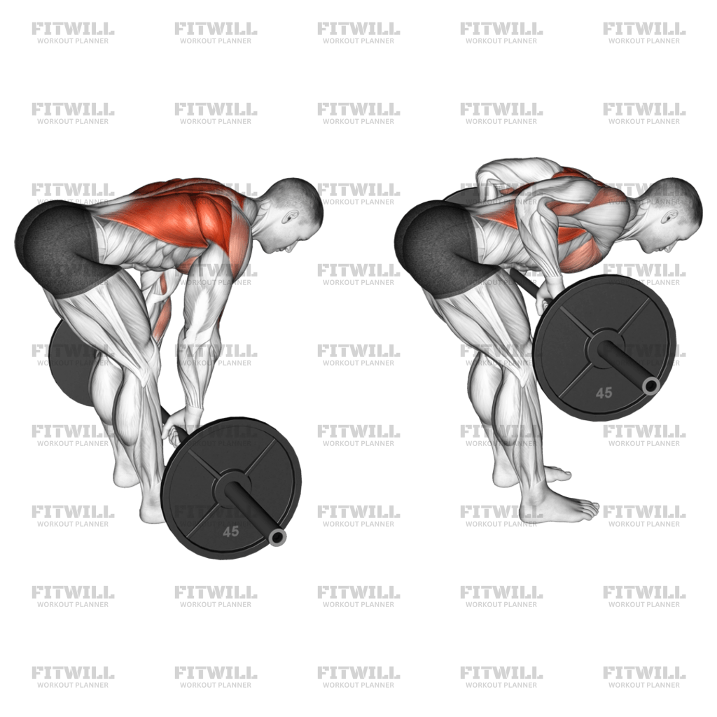 Barbell Bent Over Row Guide Techniques Benefits How To Muscles Worked Tips And Tricks Fitwill