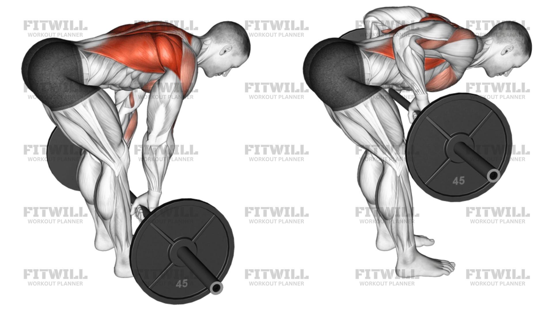 Barbell Bent Over Row: Exercise Guide, Video, Techniques, Benefits, How ...