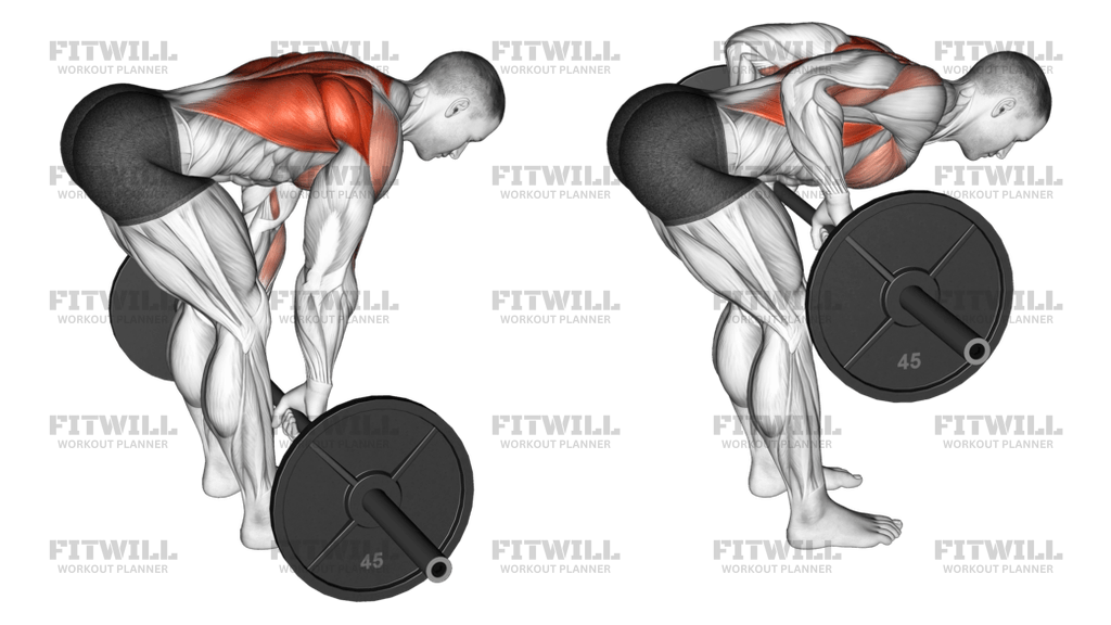 Remo Con Barra Inclinado: Guía de Ejercicios, Video, Técnicas ...