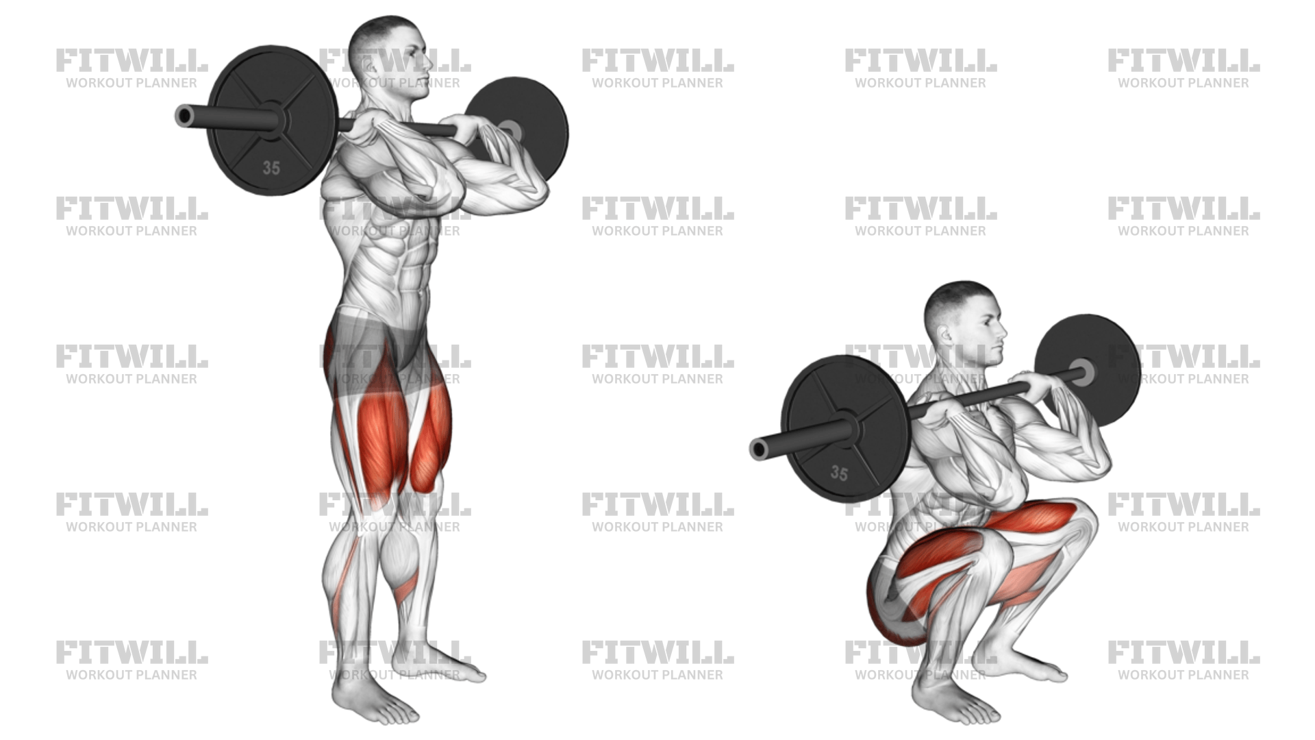 Barbell Clean-grip Front Squat: Exercise Guide, Video, Techniques ...