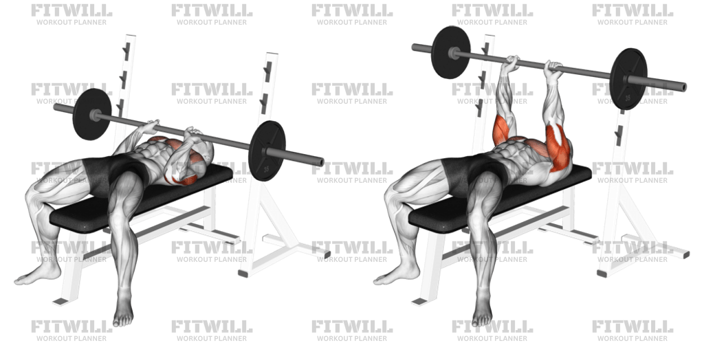 Press De Banca Con Barra Y Agarre Cerrado: Guía de Ejercicios, Video ...