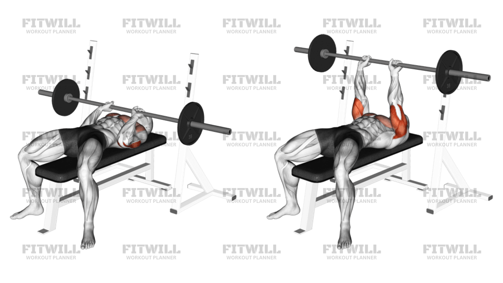 Press De Banca Con Barra Y Agarre Cerrado: Guía de Ejercicios, Video ...