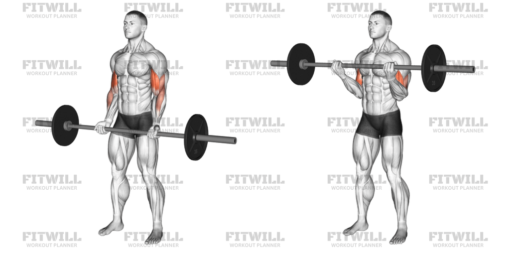 Ultimate Arm Sculpting Superset: Barbell Curls, Triceps Extensions ...