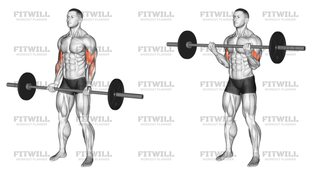 Rosca Direta Com Barra: Guia de Exercícios, Vídeo, Técnicas, Benefícios ...