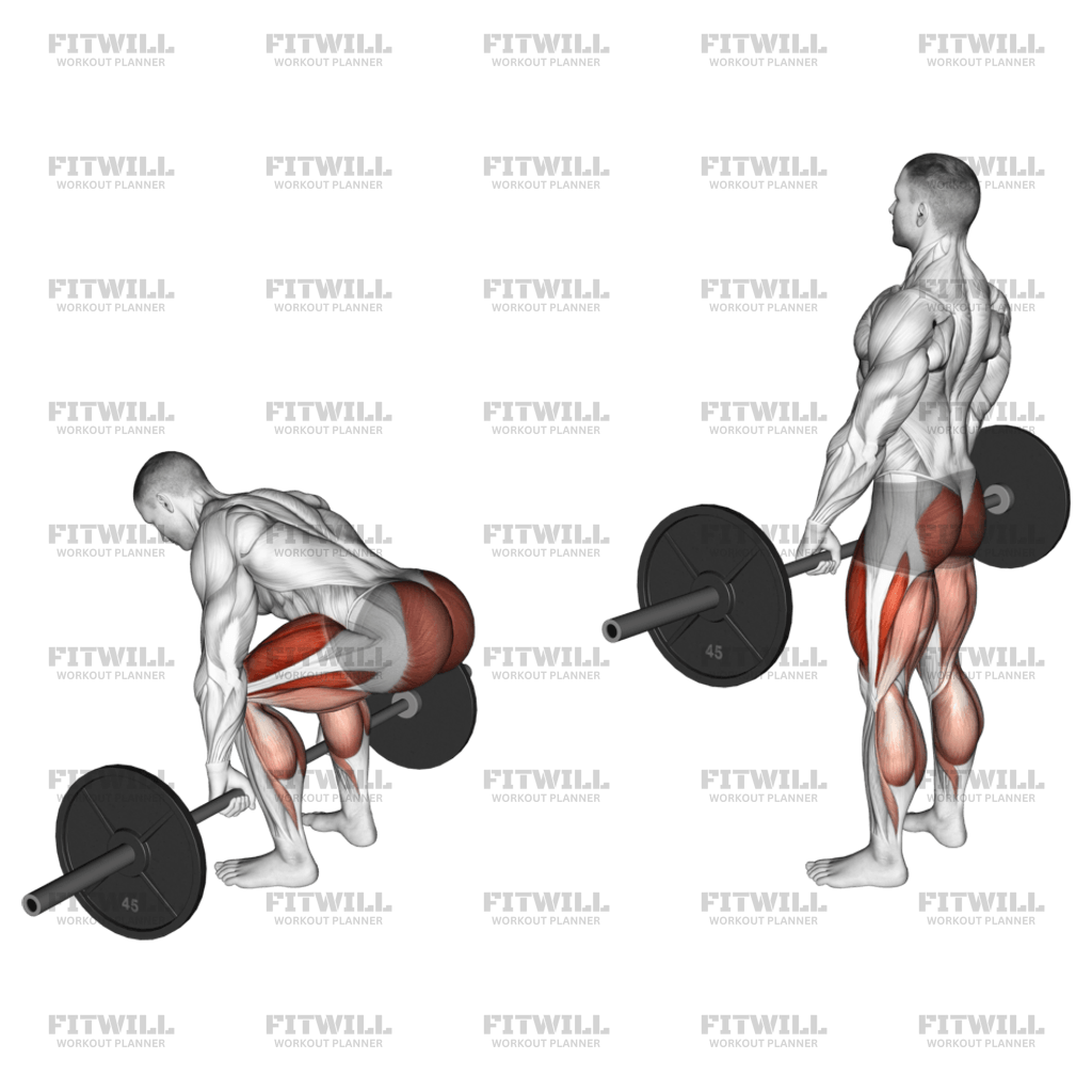 Peso Muerto Con Barra: Guía de Ejercicios, Video, Técnicas, Beneficios ...