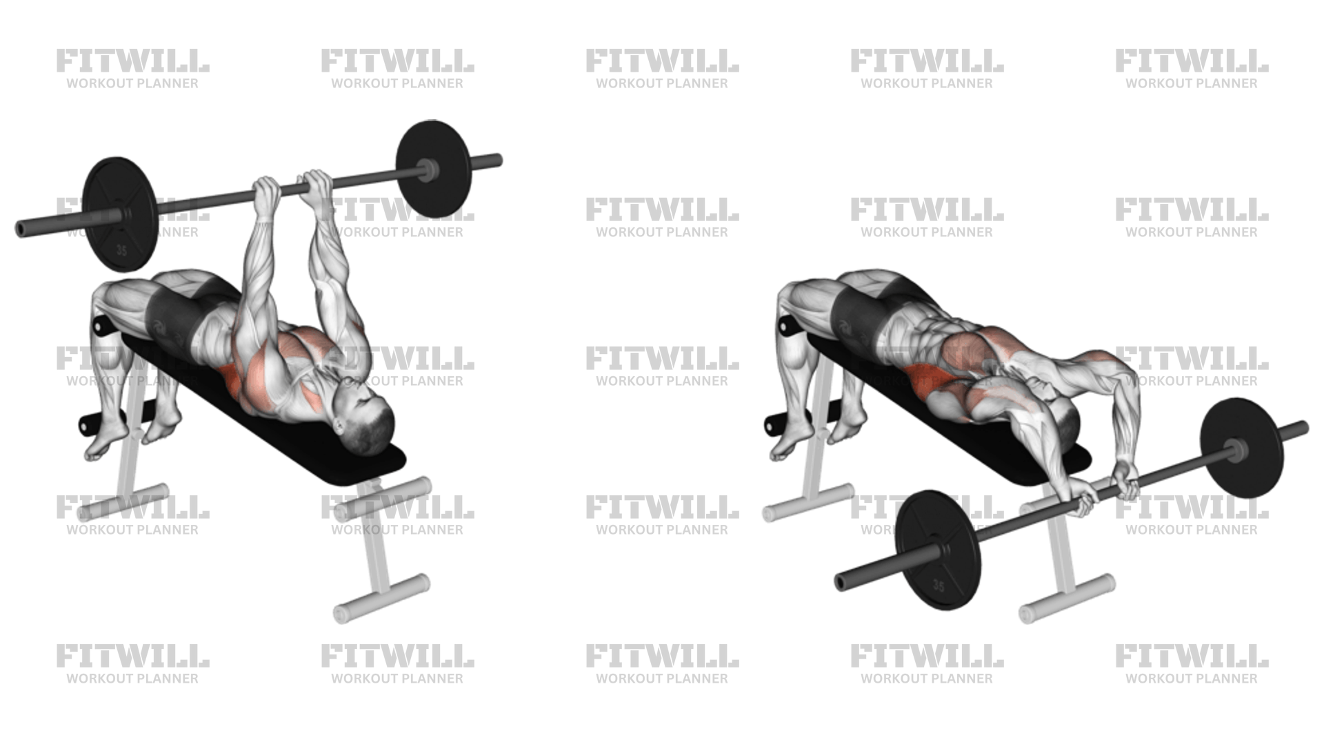 Barbell Decline Bent Arm Pullover: Exercise Guide, Techniques, Benefits ...