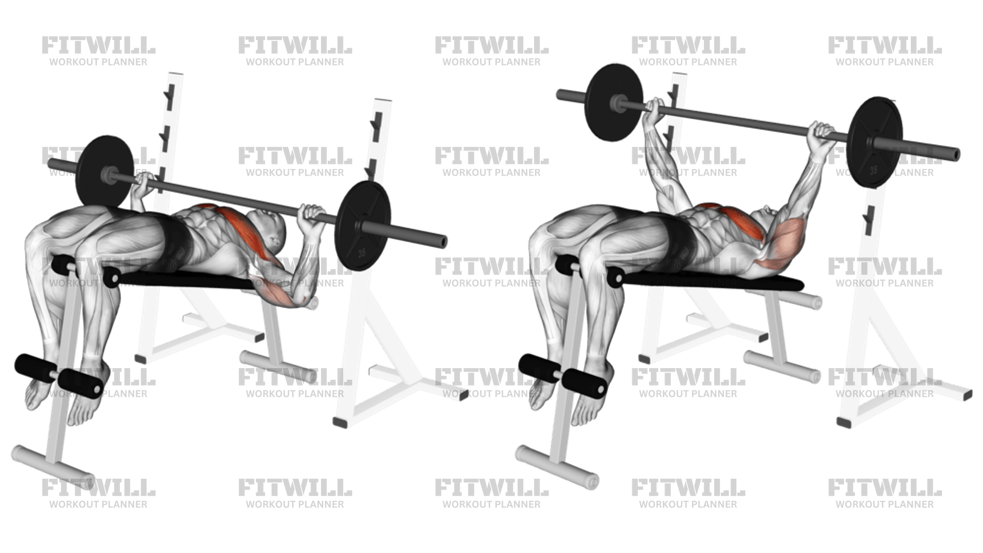 Stangpress I Nedoverbakke Med Bredt Grep: Treningsguide, Teknikk ...