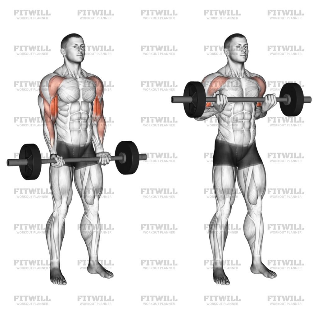 Barbell Drag Curl: Exercise Video | Fitwill