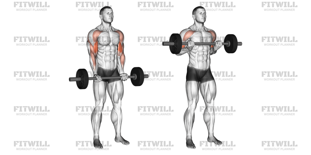 Barbell Drag Curl: Exercise Guide, Video, Techniques, Benefits, How to ...