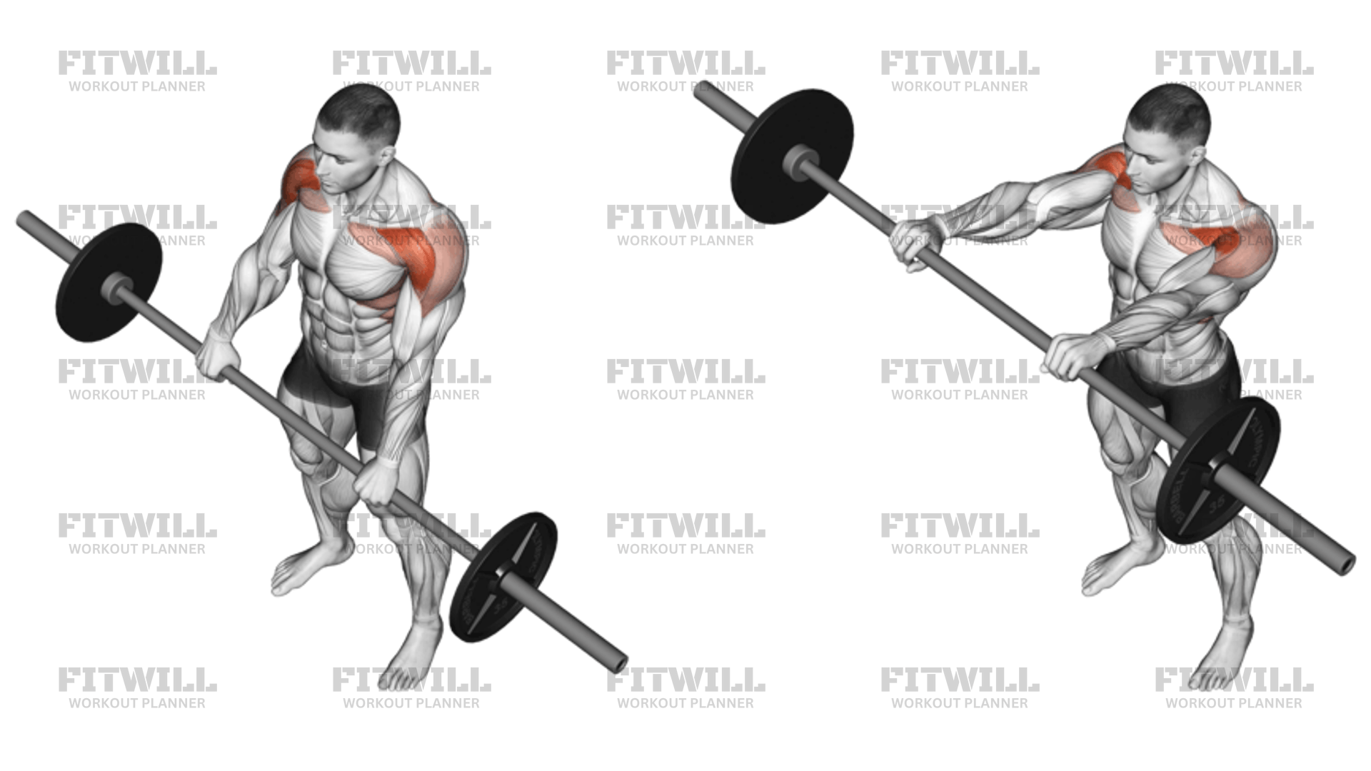 Barbell Shoulder and Upper Back Workout for Strength and Definition ...