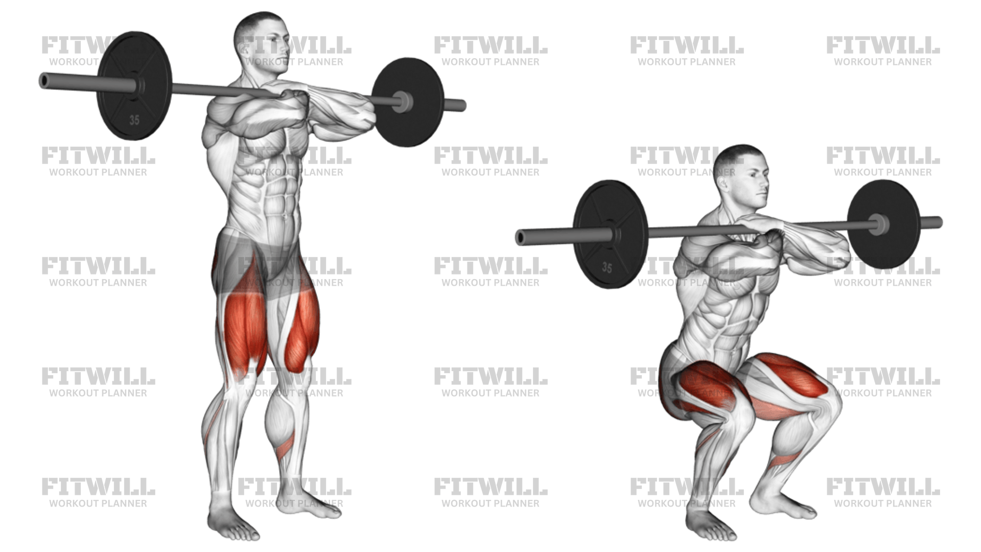 Sentadilla Frontal Con Barra: Guía de Ejercicios, Video, Técnicas ...