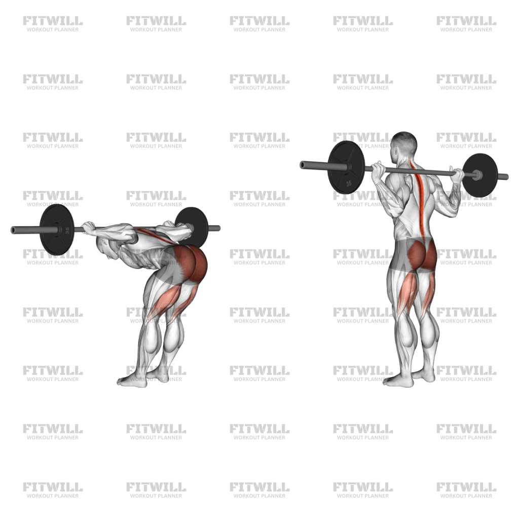 Barbell Good Morning: Exercise Guide, Video, Techniques, Benefits, How ...