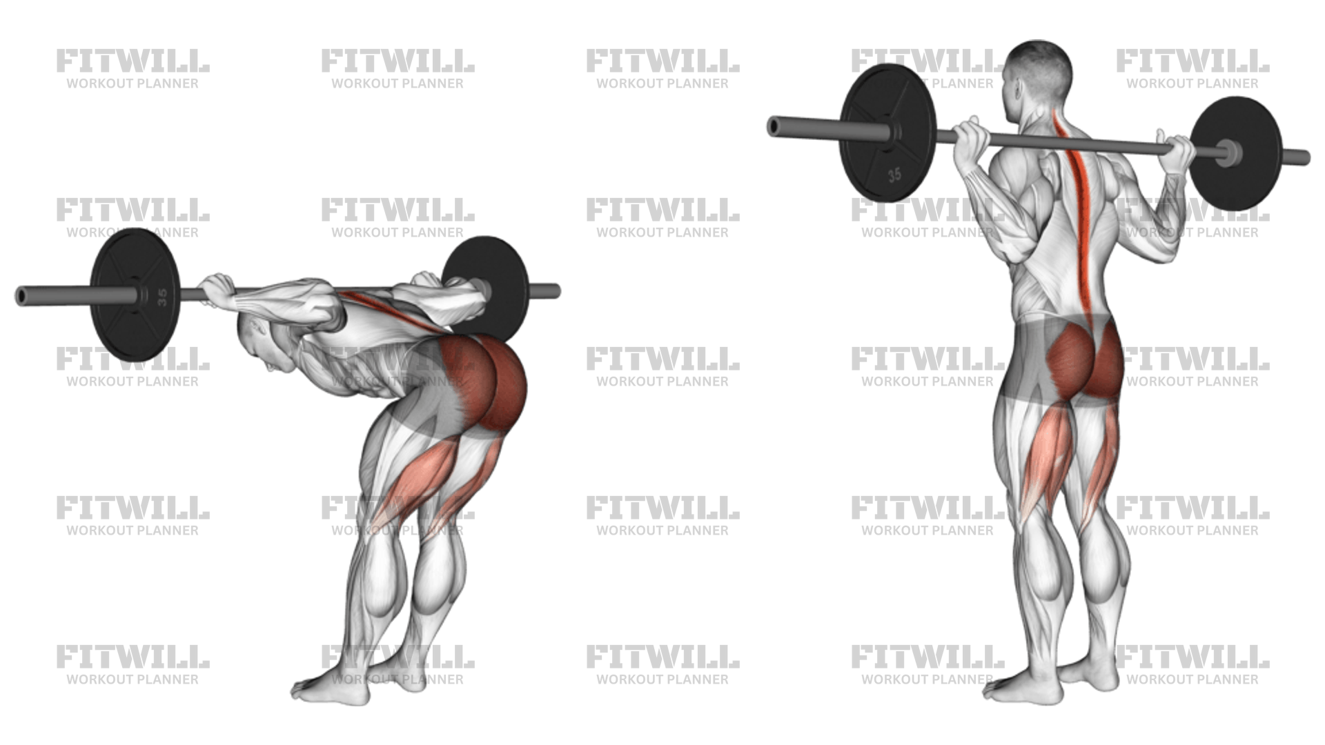 Barbell Good Morning: Exercise Guide, Video, Techniques, Benefits, How ...