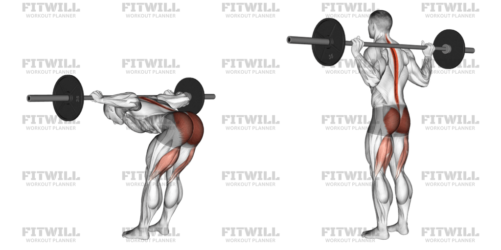 Barbell Good Morning: Exercise Guide, Video, Techniques, Benefits, How ...