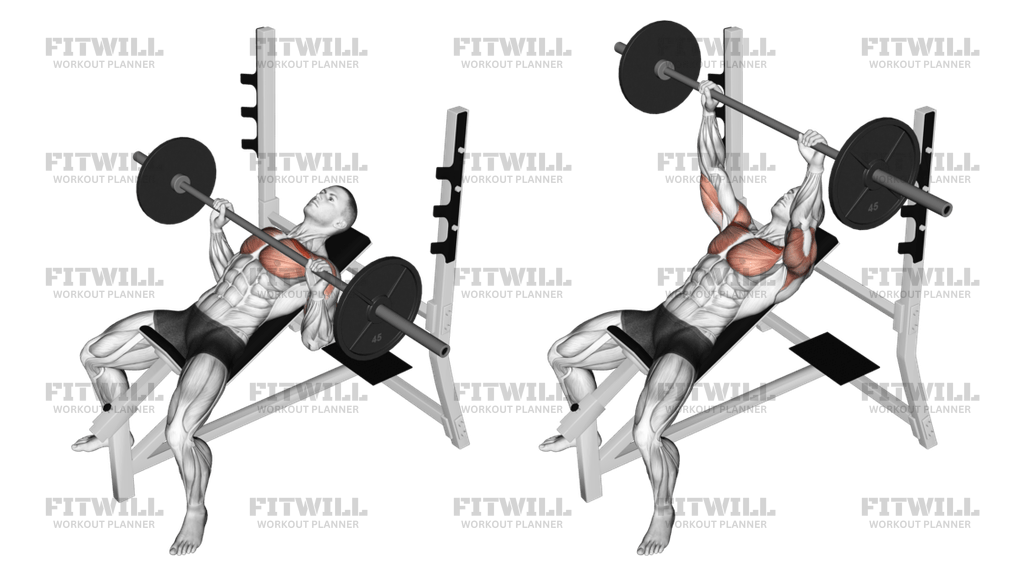 Upper Chest Dumbbell & Barbell Workout for Strength and Definition ...