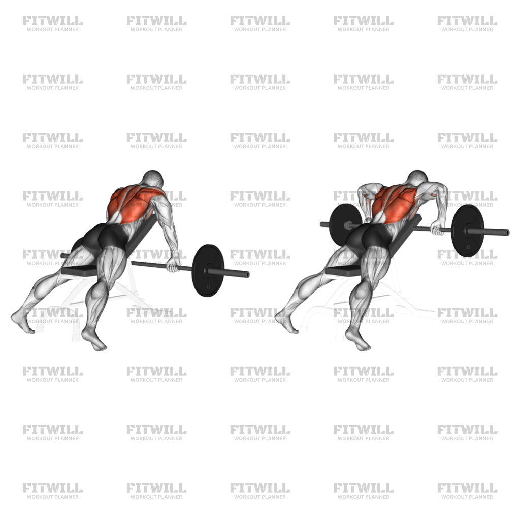 Barbell Incline Row: Exercise Guide, Video, Techniques, Benefits, How ...