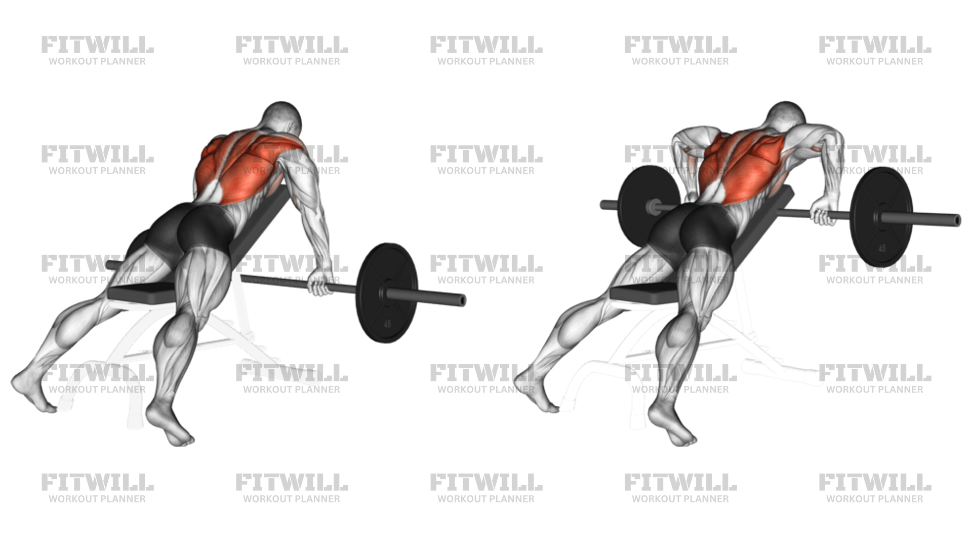 Barbell Incline Row: Exercise Guide, Video, Techniques, Benefits, How ...