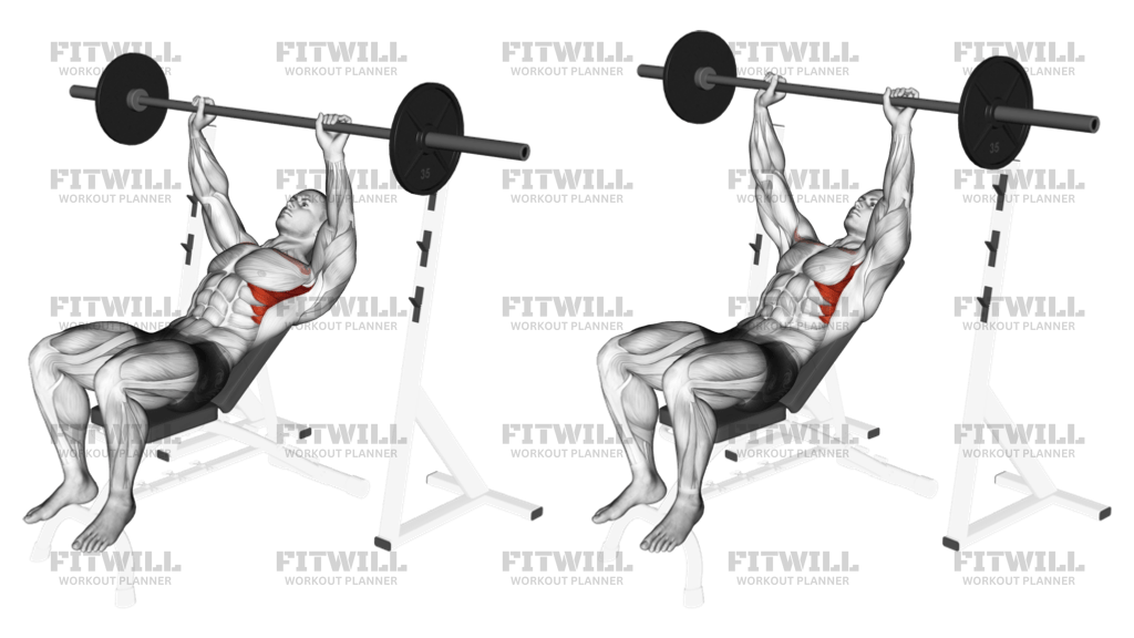 Barbell Incline Shoulder Raise: Exercise Guide, Techniques, Benefits ...