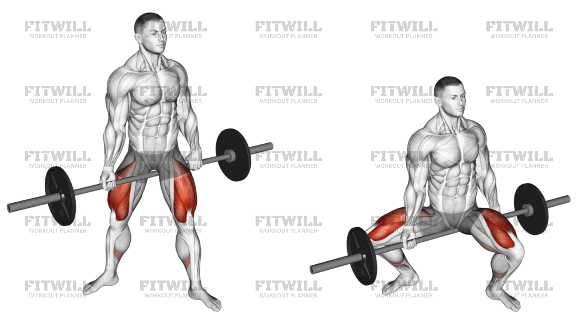 Sentadilla Jefferson Con Barra: Guía de Ejercicios, Video, Técnicas ...