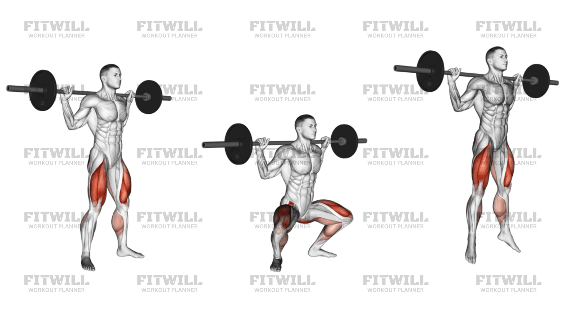 Sentadilla Con Salto Y Barra: Guía de Ejercicios, Video, Técnicas, Beneficios, Cómo Realizarlo ...