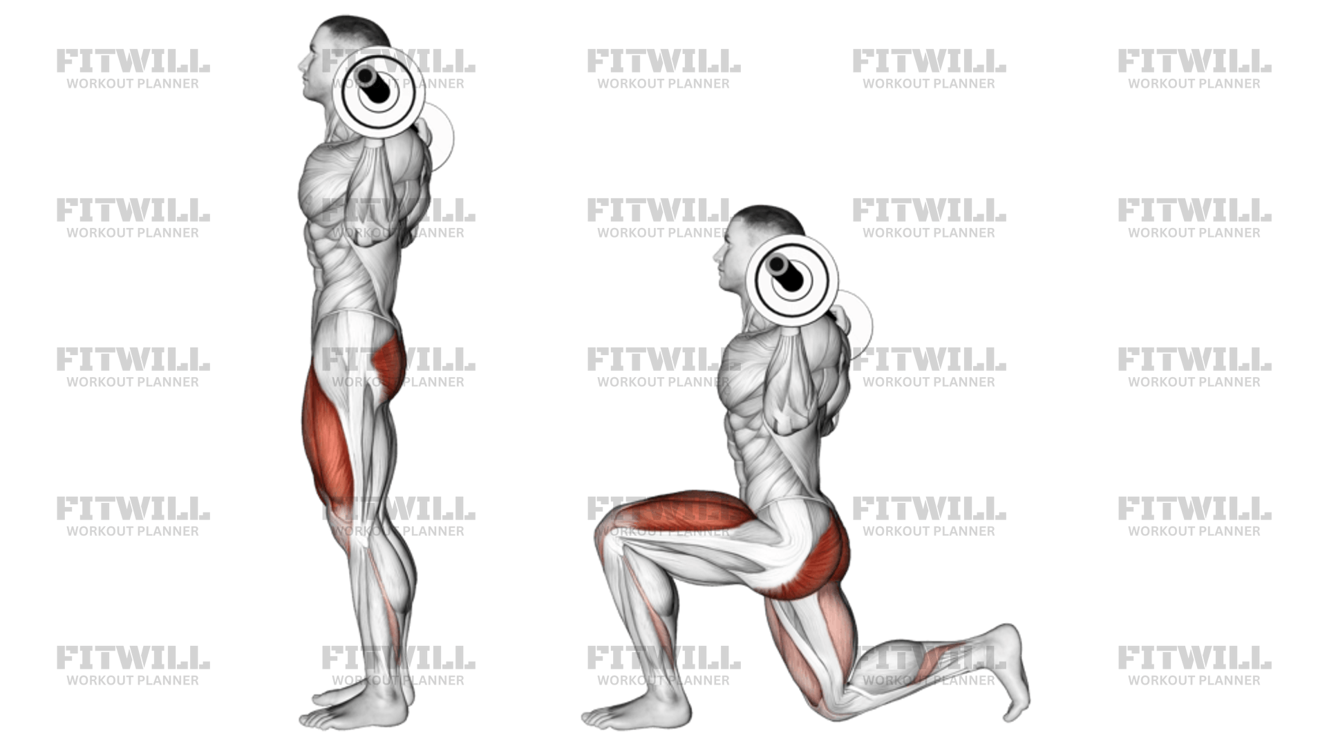 Barbell Lunge: Exercise Guide, Video, Techniques, Benefits, How to ...