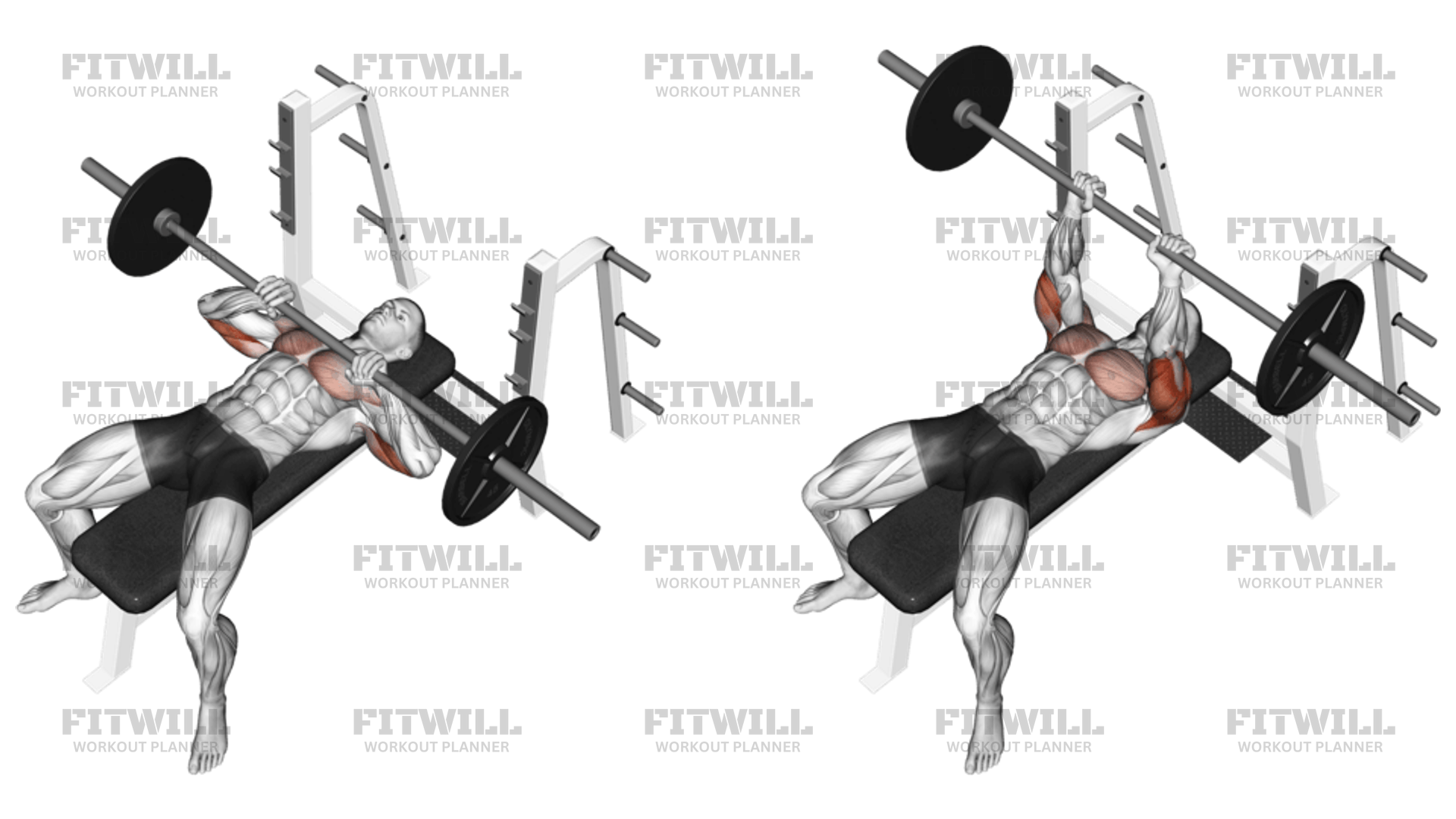 Press De Barra Acostado Con Agarre Cerrado: Guía de Ejercicios, Video ...