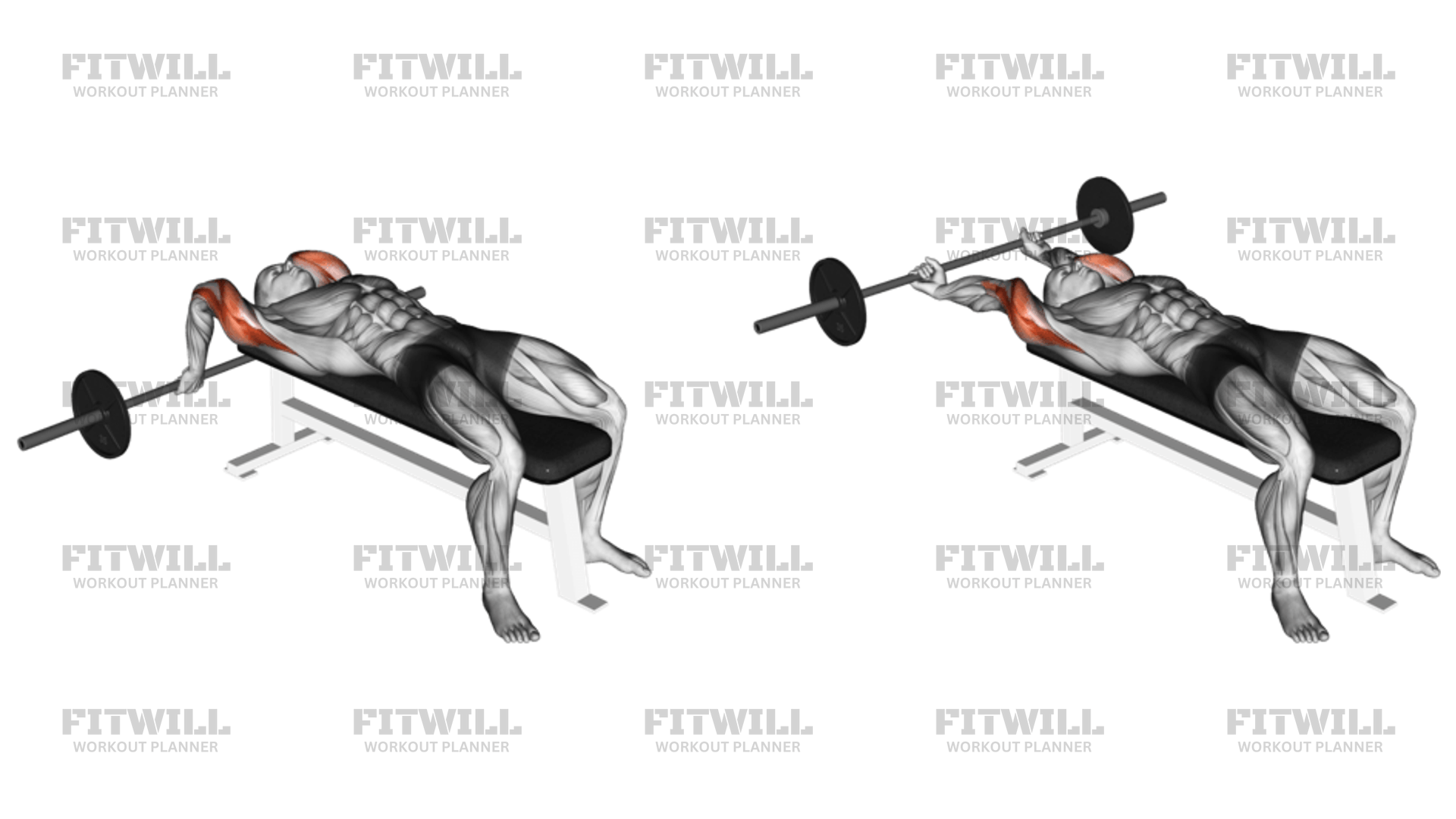 Extensión De Tríceps En Banco Con Agarre Cerrado: Guía de Ejercicios ...