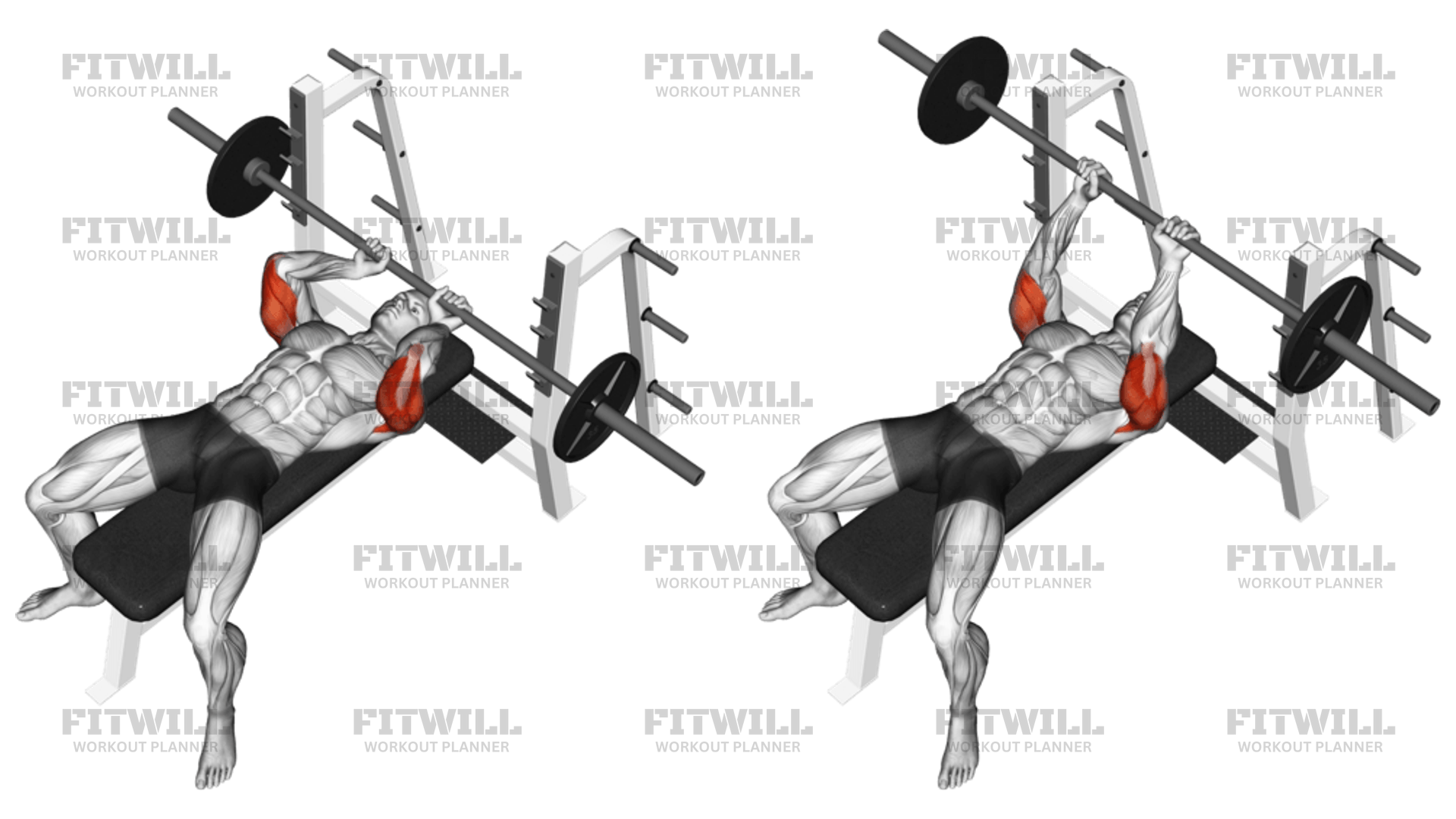 Barbell Lying Extension: Exercise Guide, Video, Techniques, Benefits ...