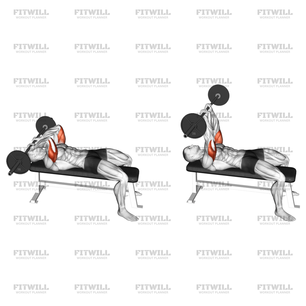 Barbell Lying Triceps Extension Skull Crusher: Exercise Guide, Video ...